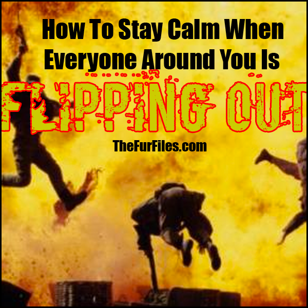 How To Stay Calm When Everyone Around You Is Flipping Out – TheFurFiles